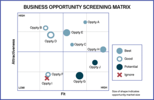 Business Opportunity Assessment: What You Can Expect from Principia's ...
